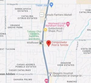 Pest Control and Termite Control in Tucson, AZ | Conquistador Pest ...